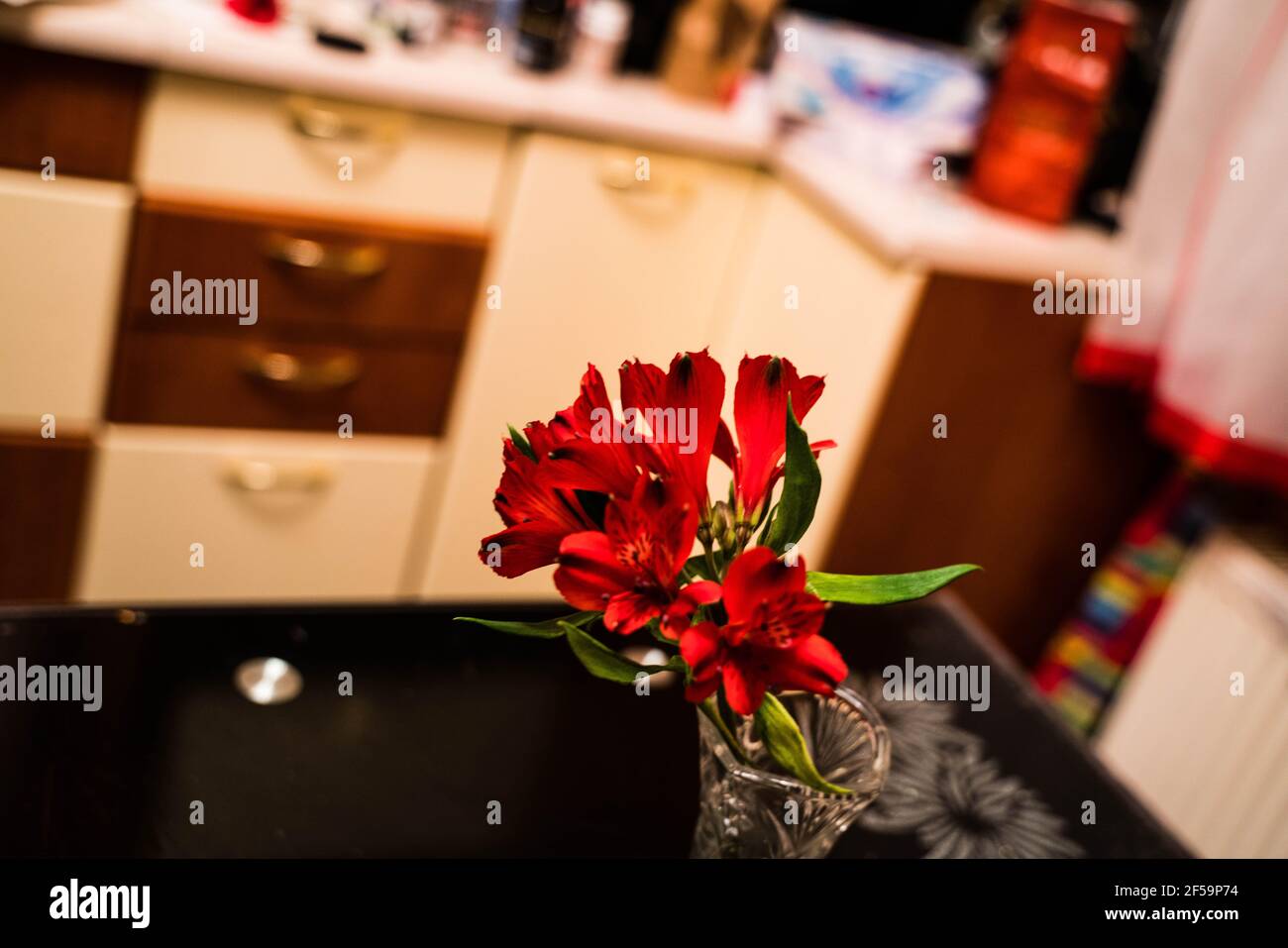 Beautifully blossomed pink flowers hi-res stock photography and images ...