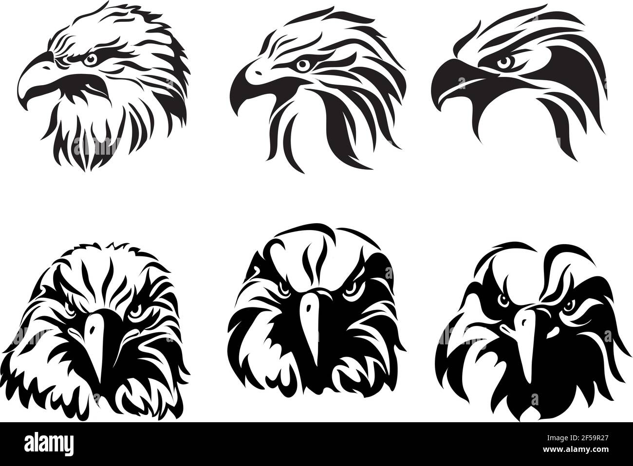 Predator vector vectors hi-res stock photography and images - Alamy