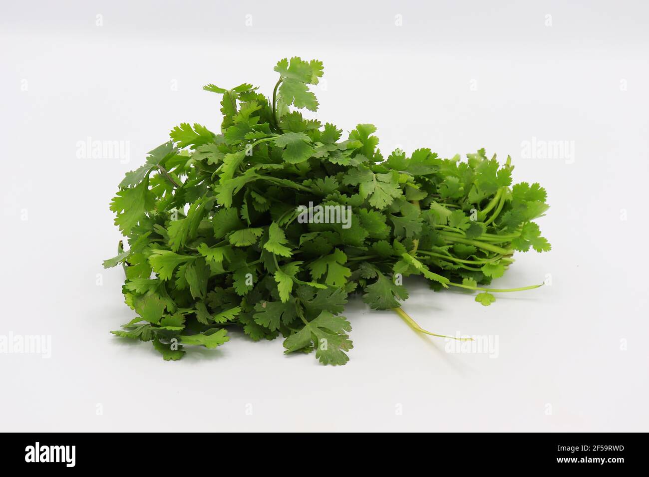 Bunch of fresh coriander leaves over white background Stock Photo - Alamy