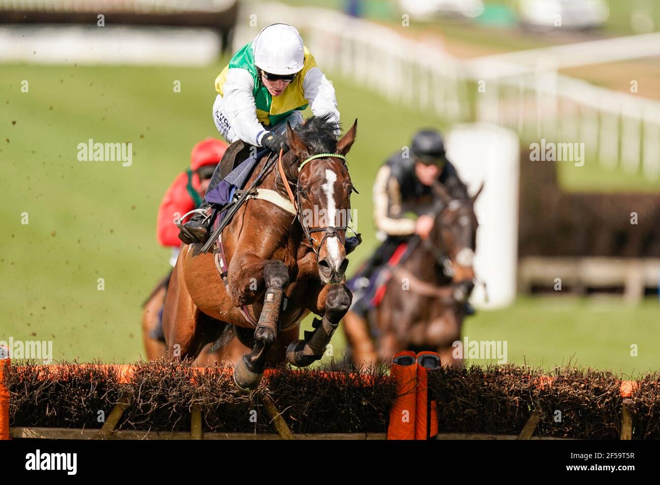 Major dundee horse hi-res stock photography and images - Alamy