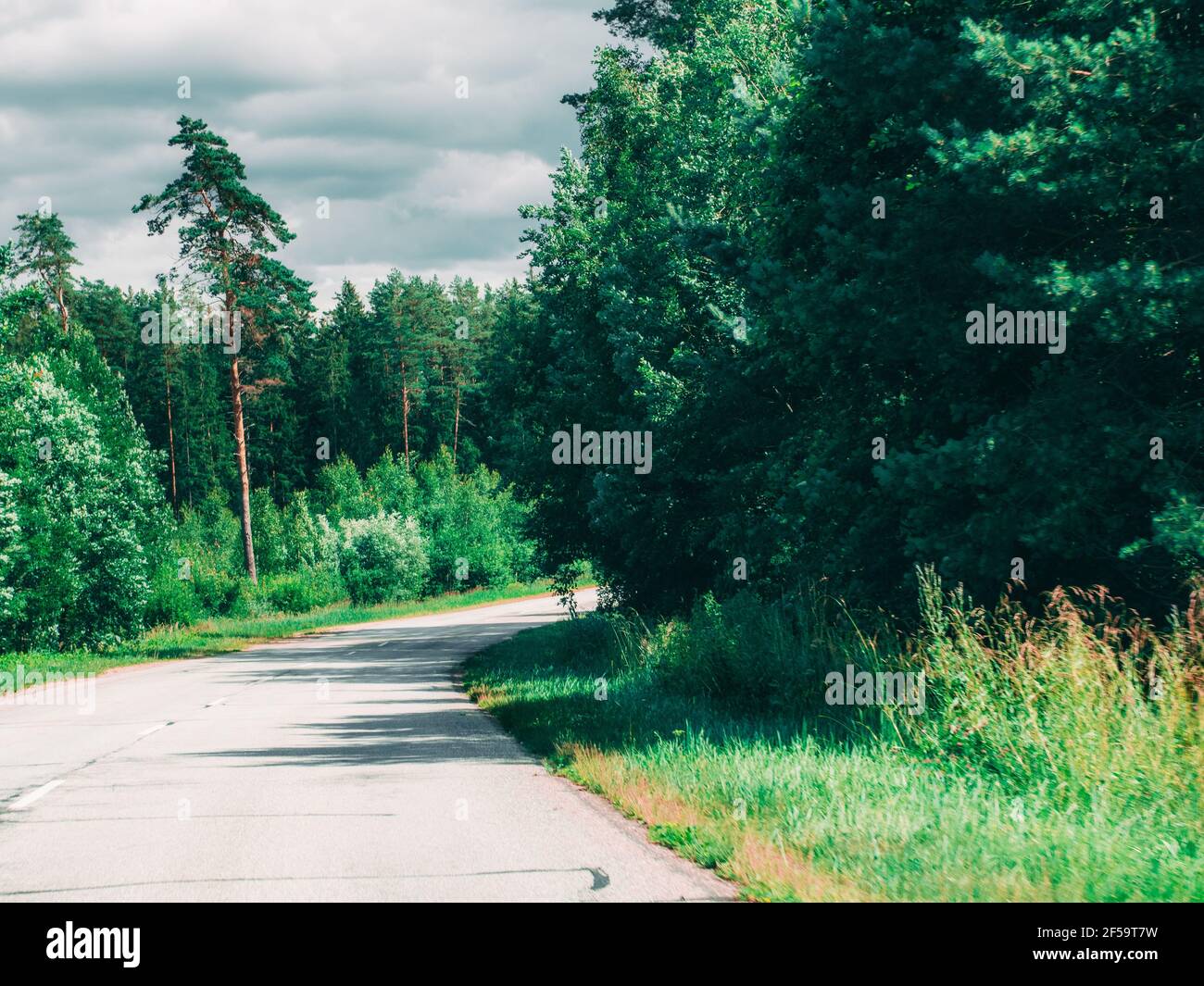 Asphalt highways road surrounded by forest, road sign, land transport ...