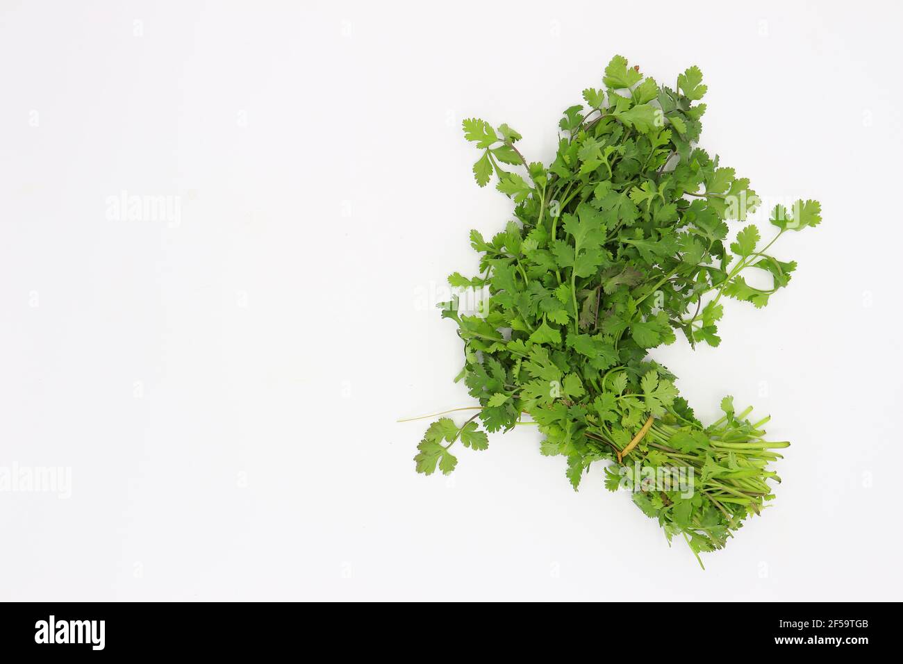Bunch of fresh coriander leaves over white background Stock Photo - Alamy