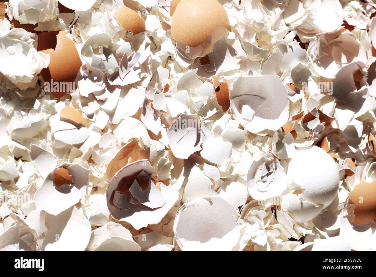 Egg Shells Full Frame Background. Easter Design Concept Stock Photo - Alamy
