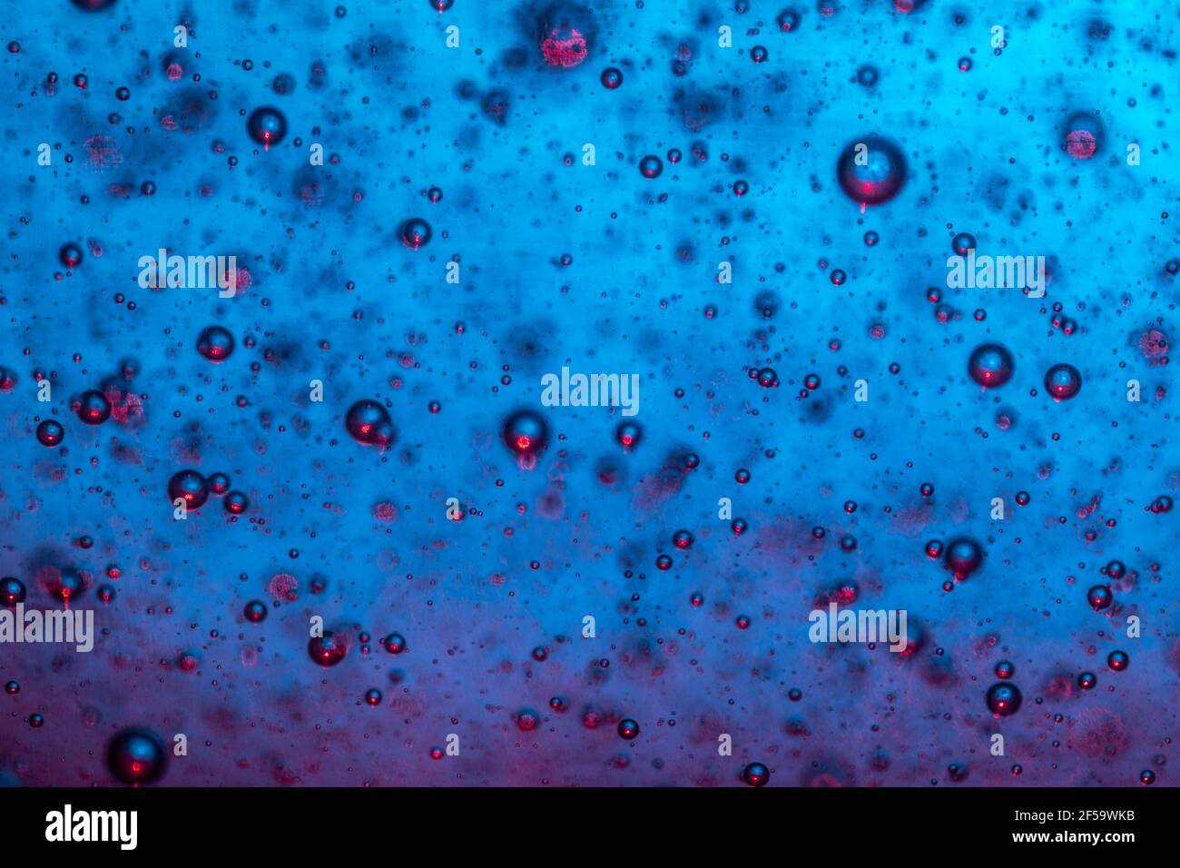 Large beautiful Oxygen bubbles underwater on a blue background macro ...