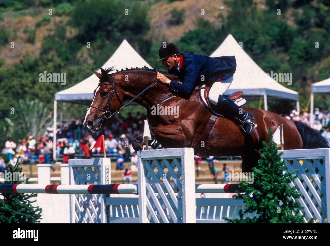 CSI Monterrey October 1995, Herve Godignon (FRA) riding Twist du Vallon Stock Photo - Alamy