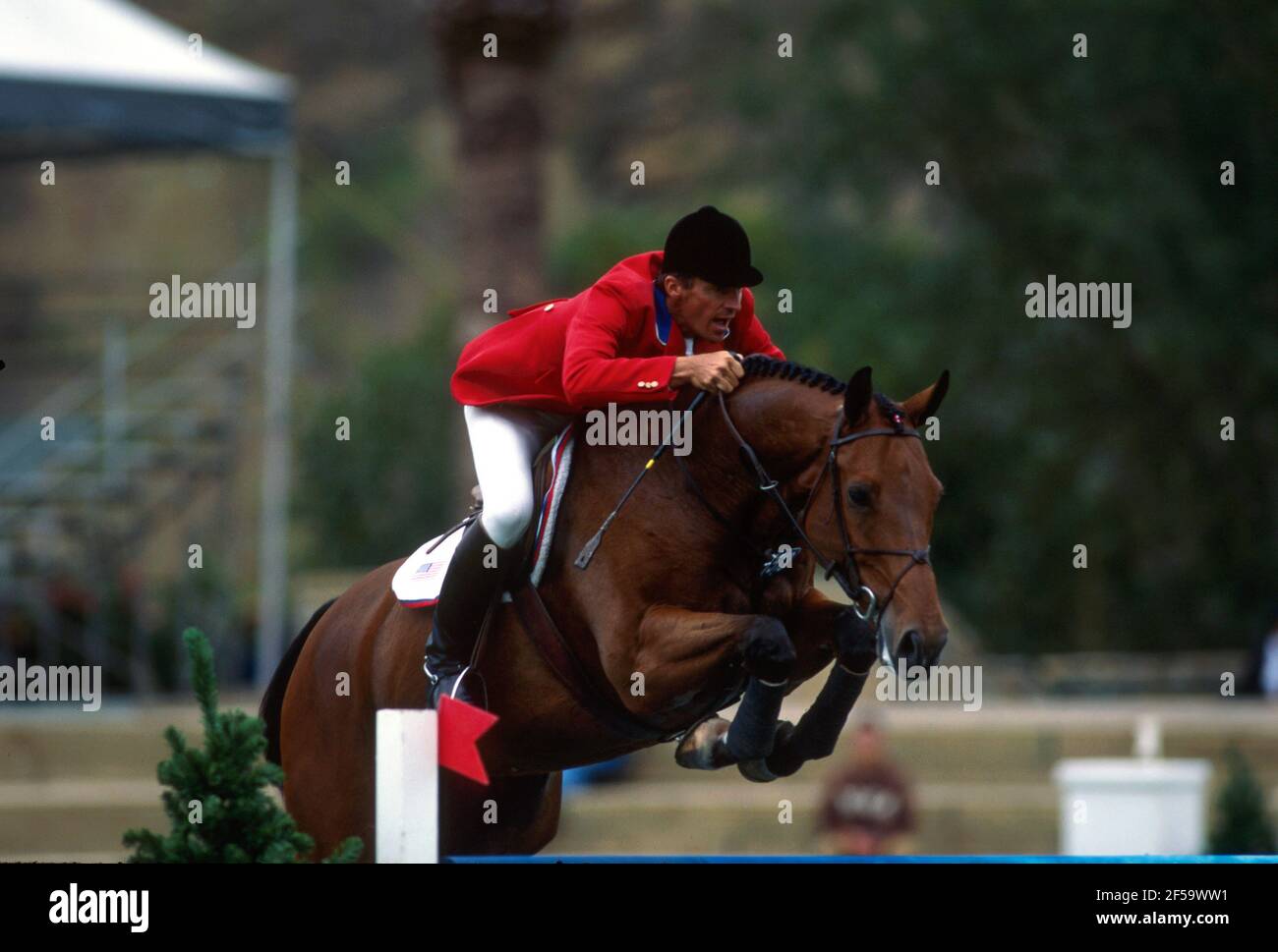 CSI Monterrey October 1995, Michael Matz (USA) riding Rhum Stock Photo ...