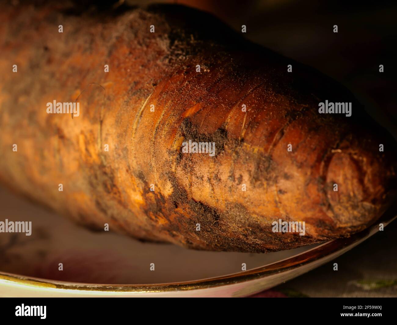Fresh organic sand carrot with soil Stock Photo - Alamy