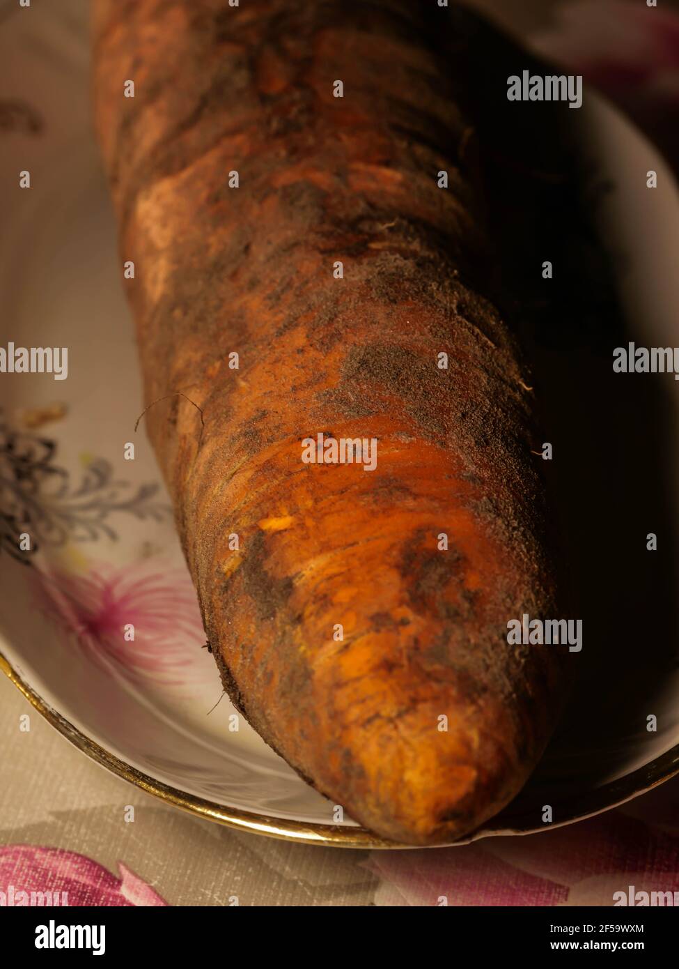 Fresh organic sand carrot with soil Stock Photo - Alamy