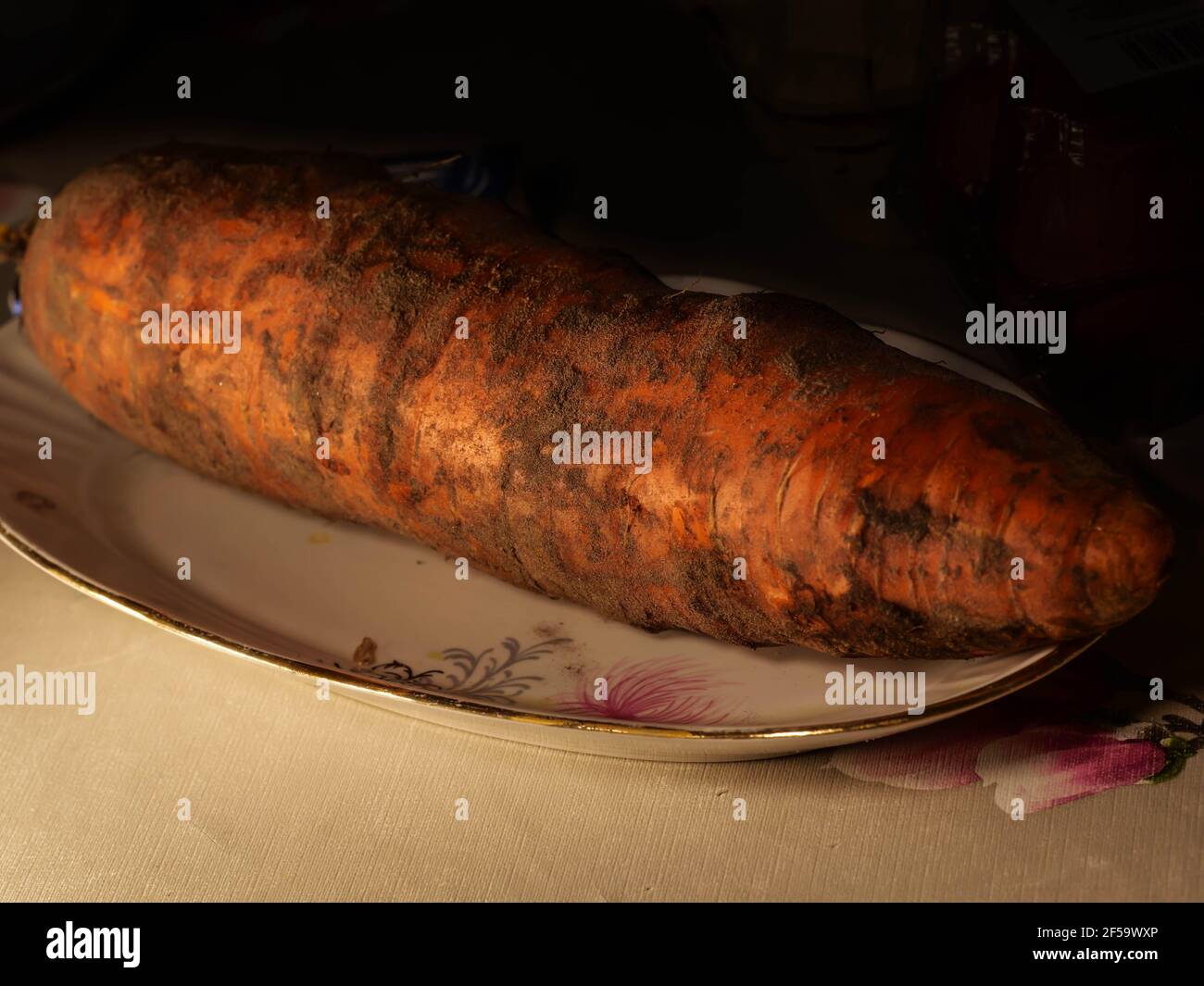 Fresh organic sand carrot with soil Stock Photo - Alamy