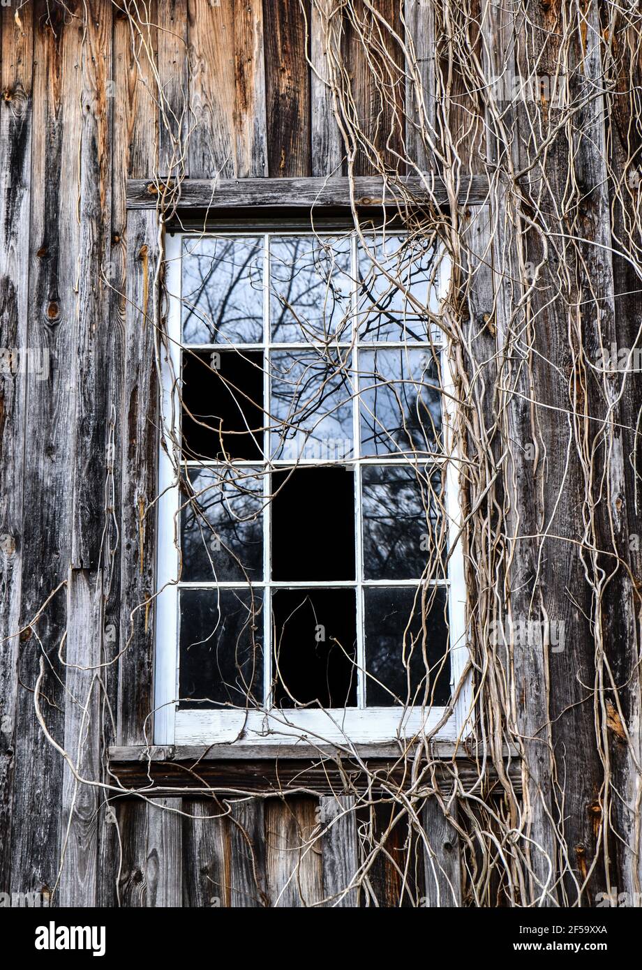 weathered old broken window in abandoned building Stock Photo - Alamy
