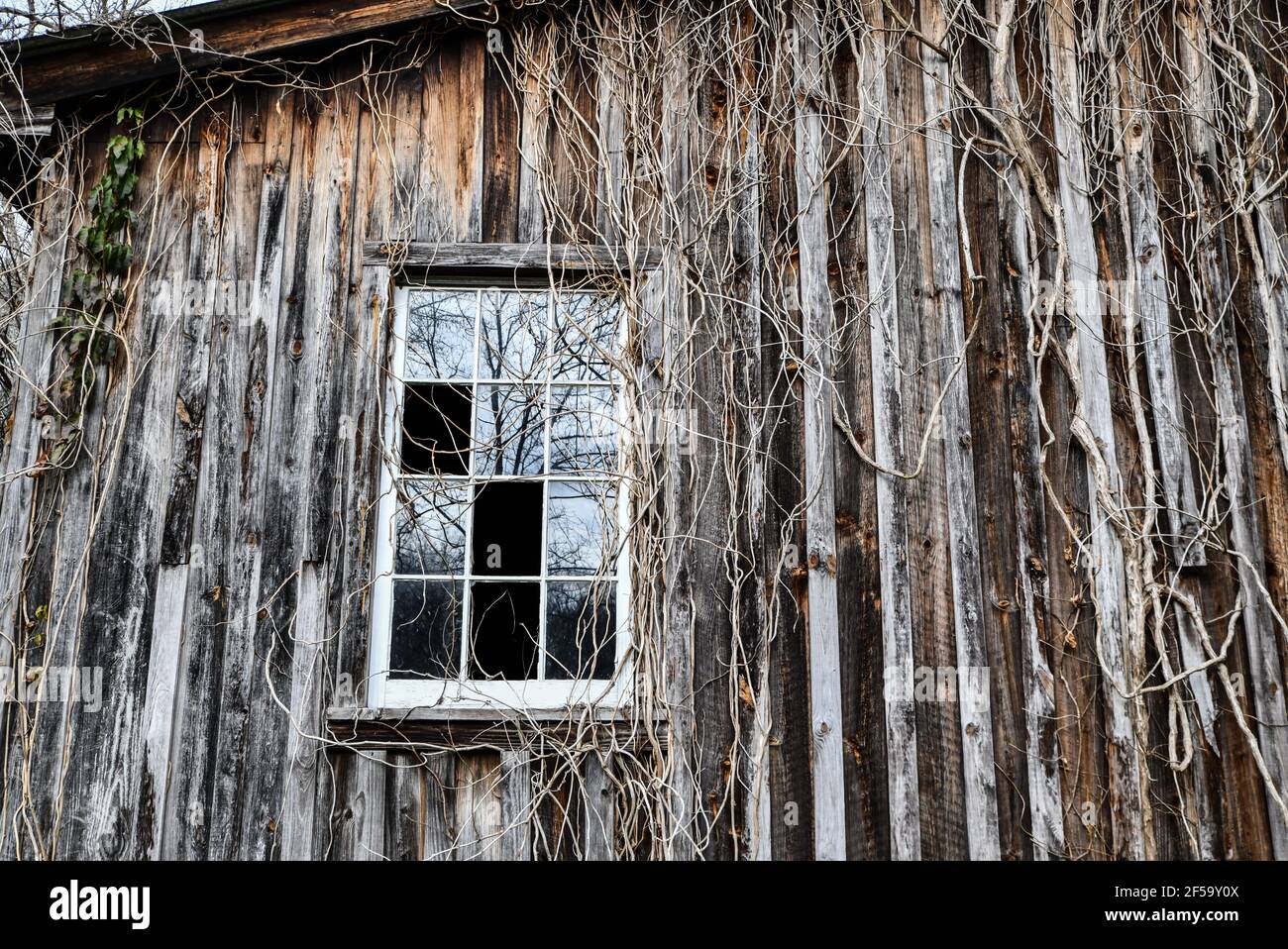 weathered old broken window in abandoned building Stock Photo - Alamy