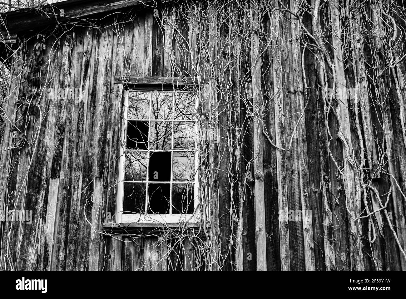 weathered old broken window in abandoned building Stock Photo - Alamy