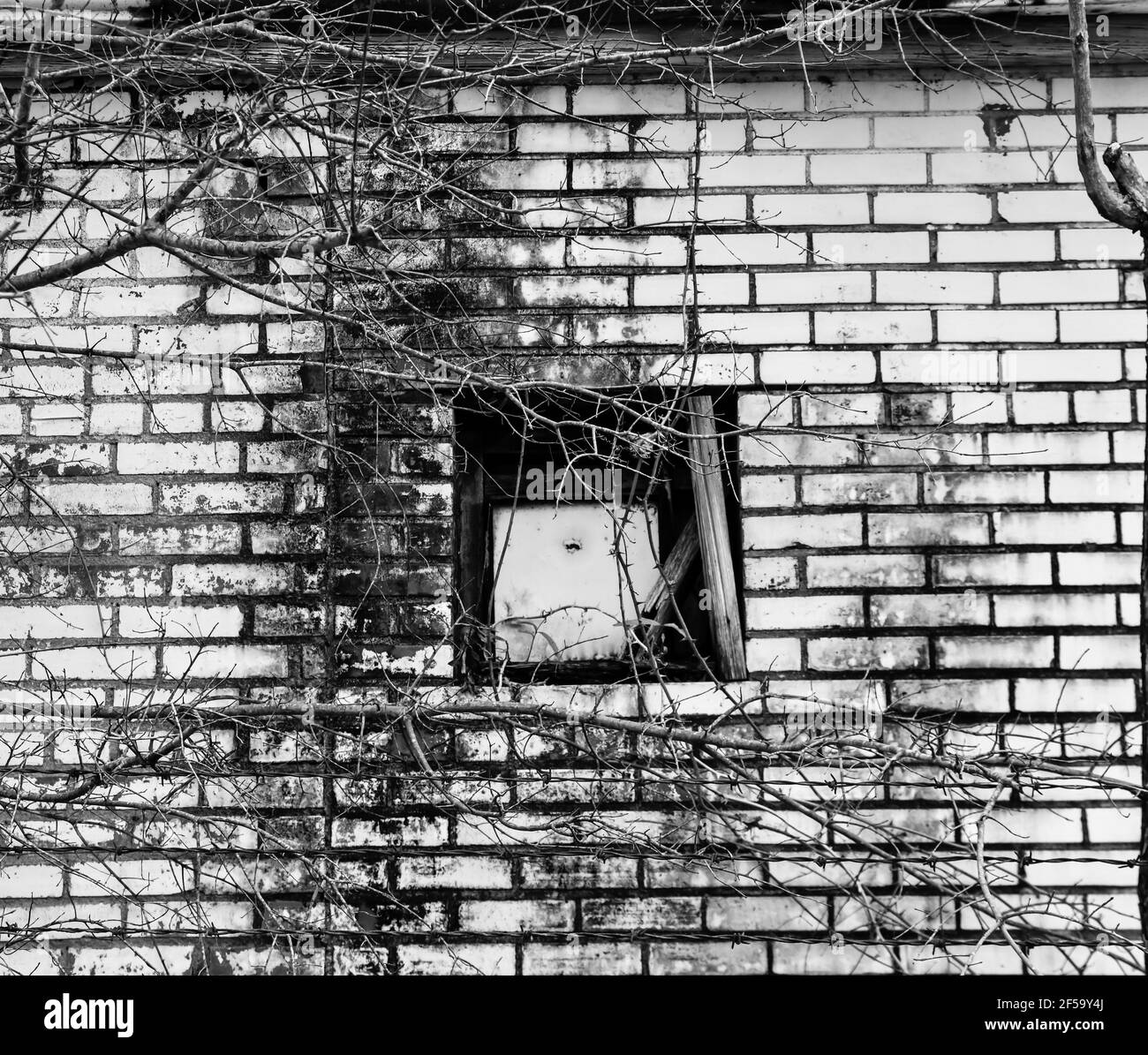 weathered old broken window in abandoned building Stock Photo - Alamy