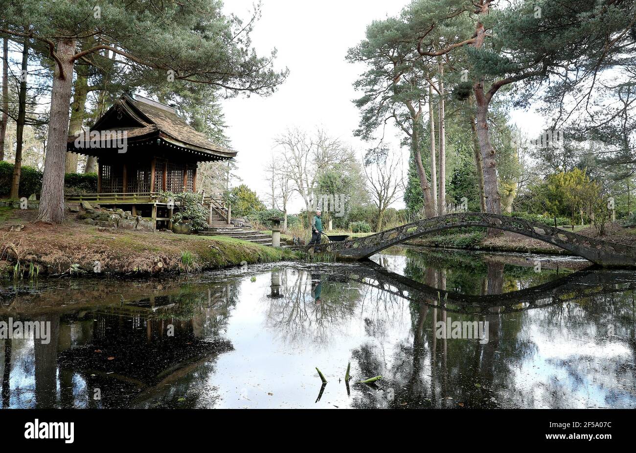Tatton park japanese garden hi-res stock photography and images - Alamy