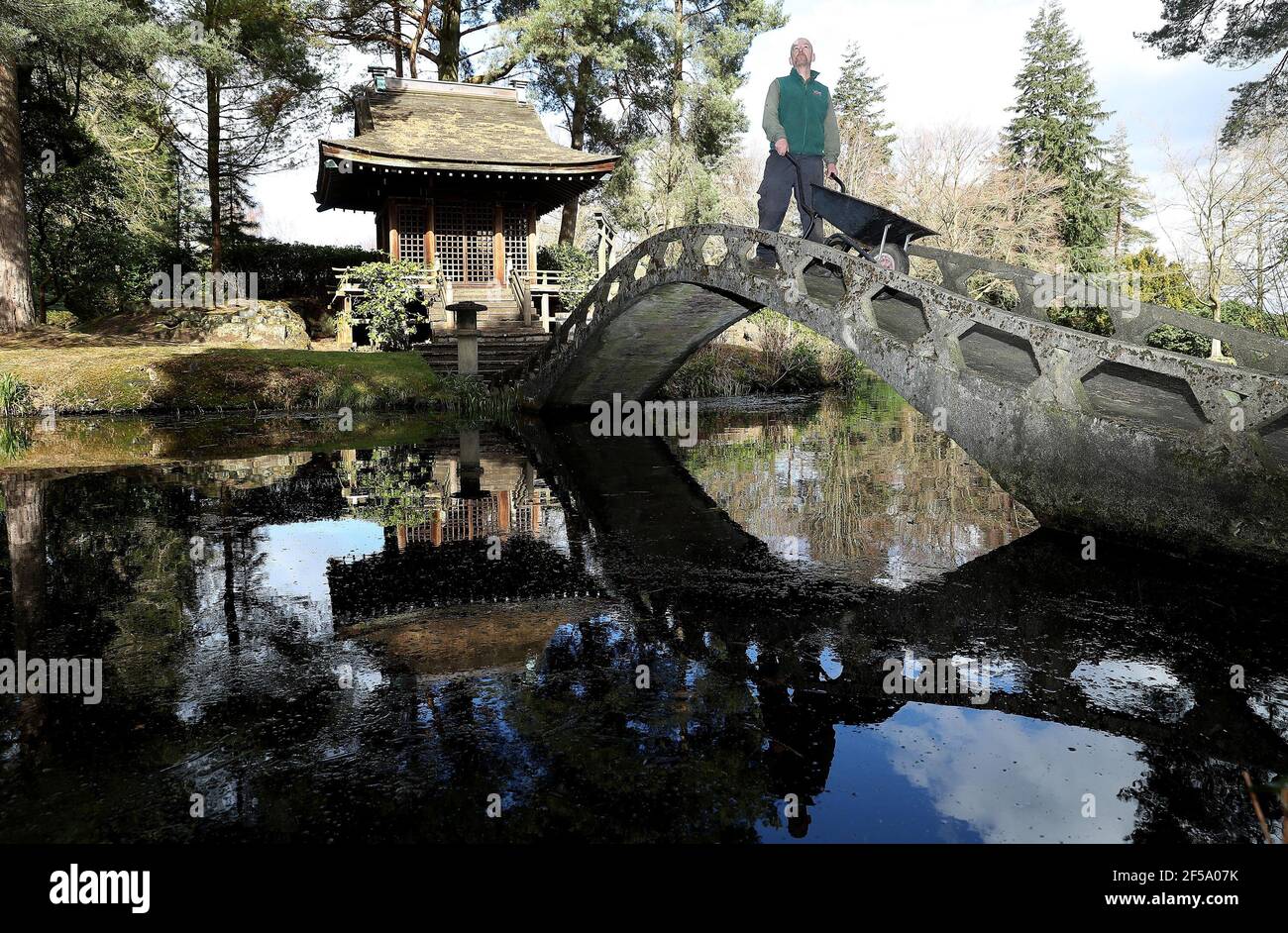 Tatton park japanese garden hi-res stock photography and images - Alamy