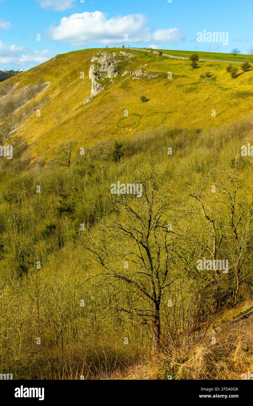 Early spring sunshine at Monsal Head a popular viewpoint in the Peak ...