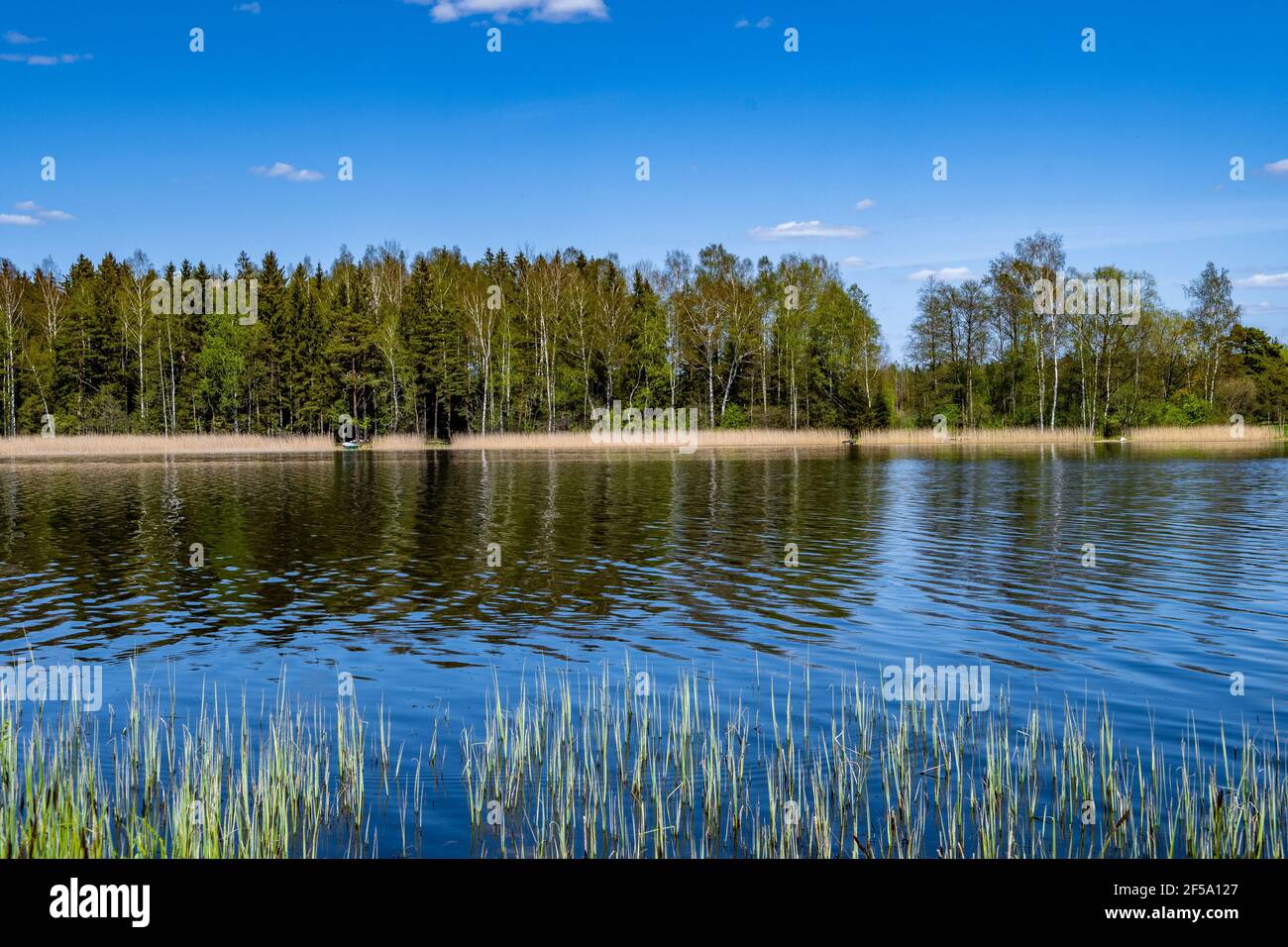 symmetric reflections on calm lake water with forests and islands Stock ...