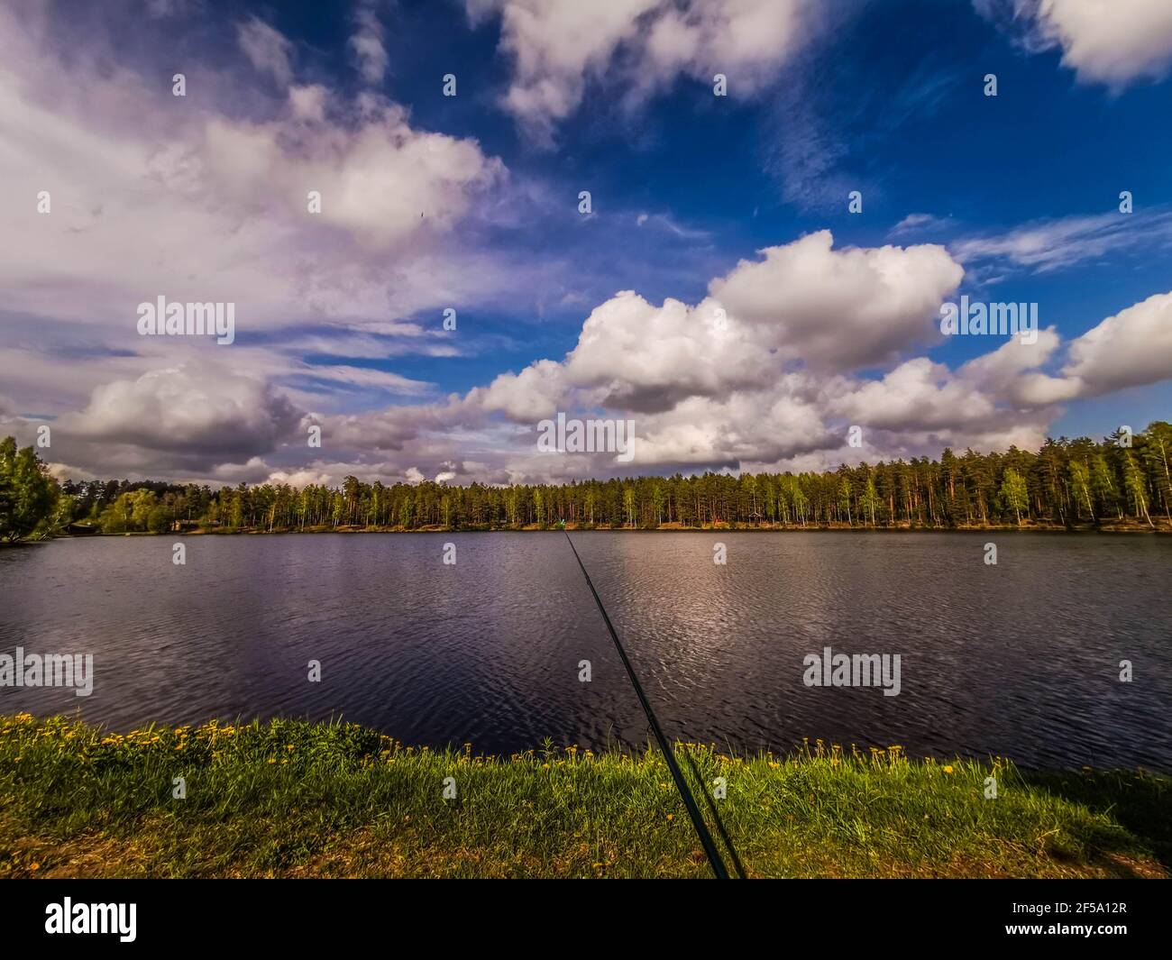 symmetric reflections on calm lake water with forests and islands Stock ...