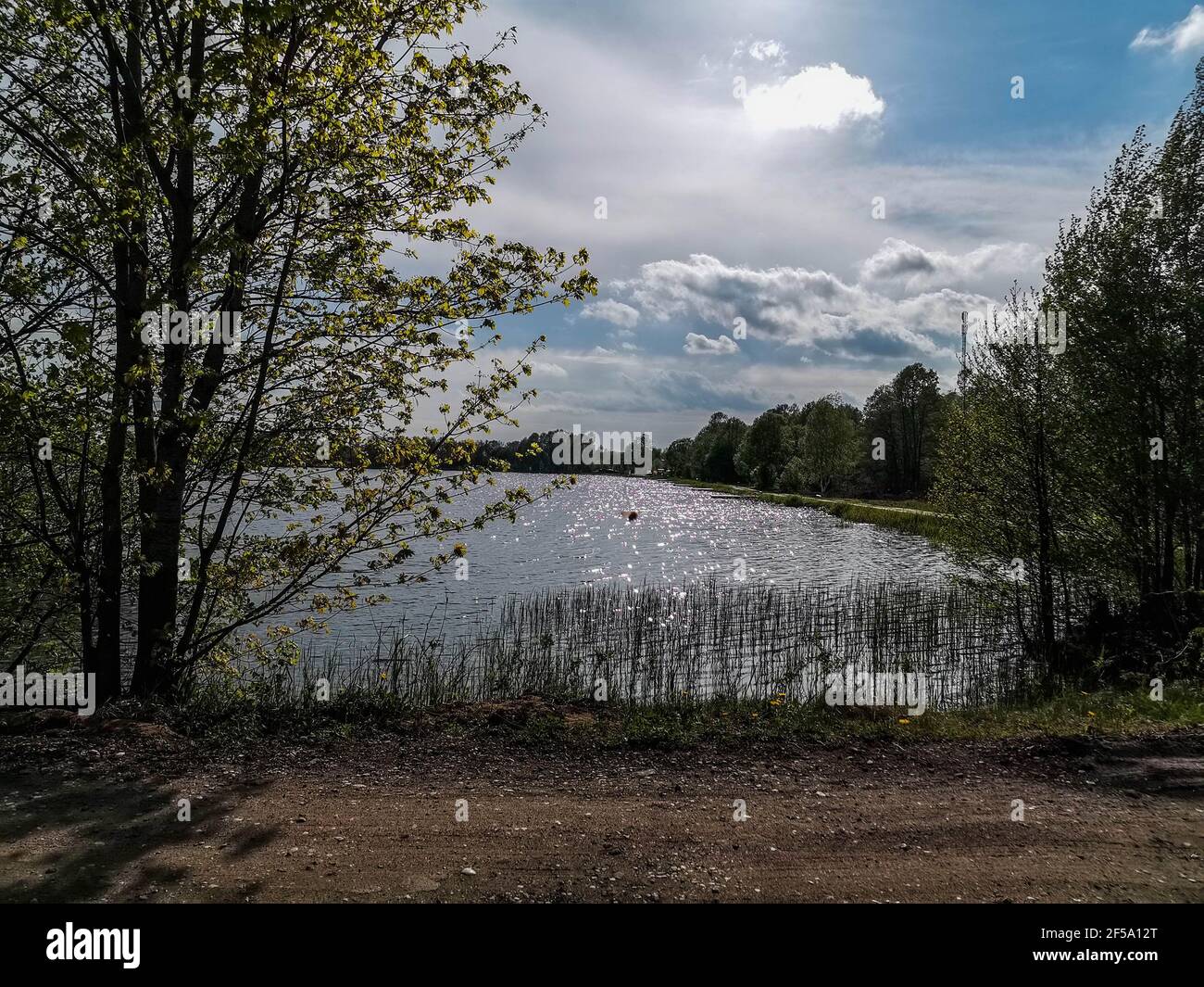 symmetric reflections on calm lake water with forests and islands Stock ...