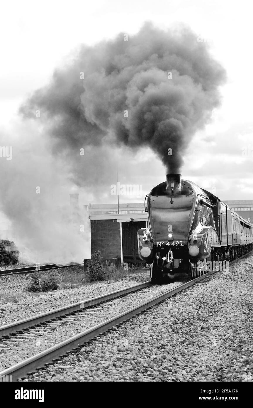 Main line steam train speeding through Chippenham station hauled by ...