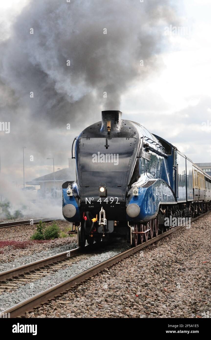 Main line steam train speeding through Chippenham station hauled by ...