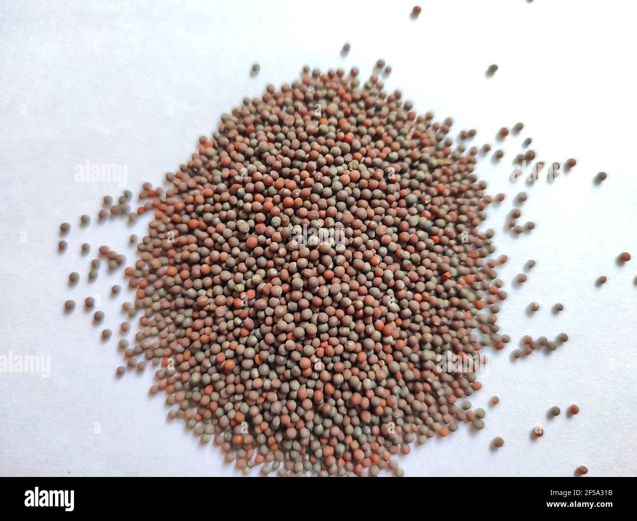 Pile of fish food grains Stock Photo - Alamy