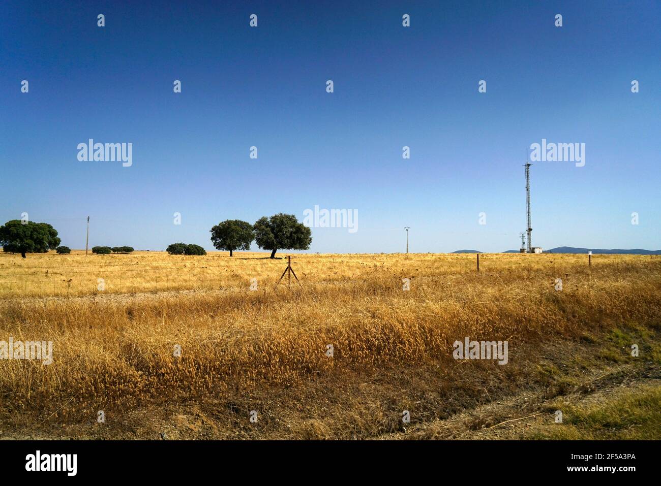 Beautiful scene of an open dry grass field with trees and aa protective ...