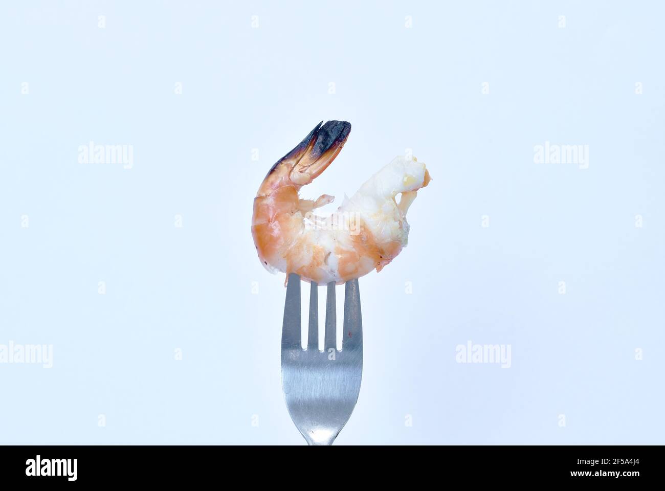 grilled river shrimp stabbing by silver fork on white background Stock ...