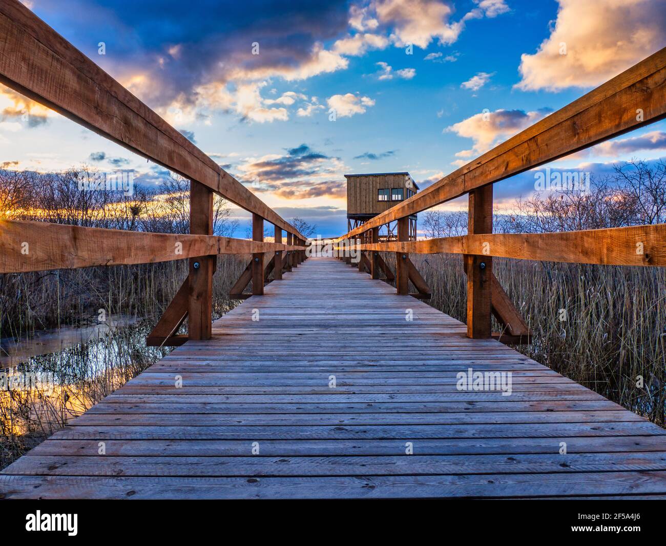 Boardwalk Path Through Wetlands Area in National Park Stock Photo - Alamy