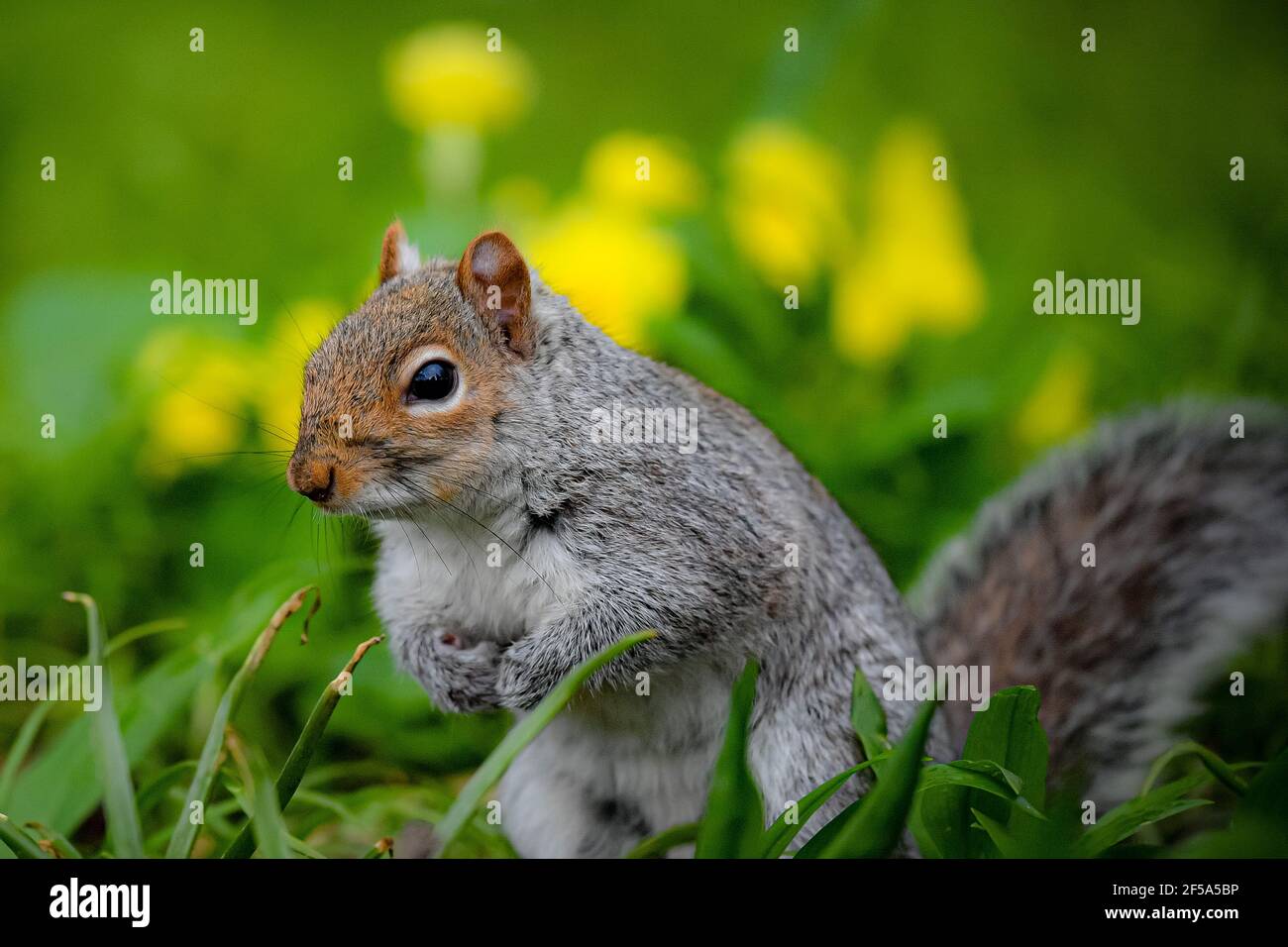 Thursday march 25 bath hi-res stock photography and images - Alamy