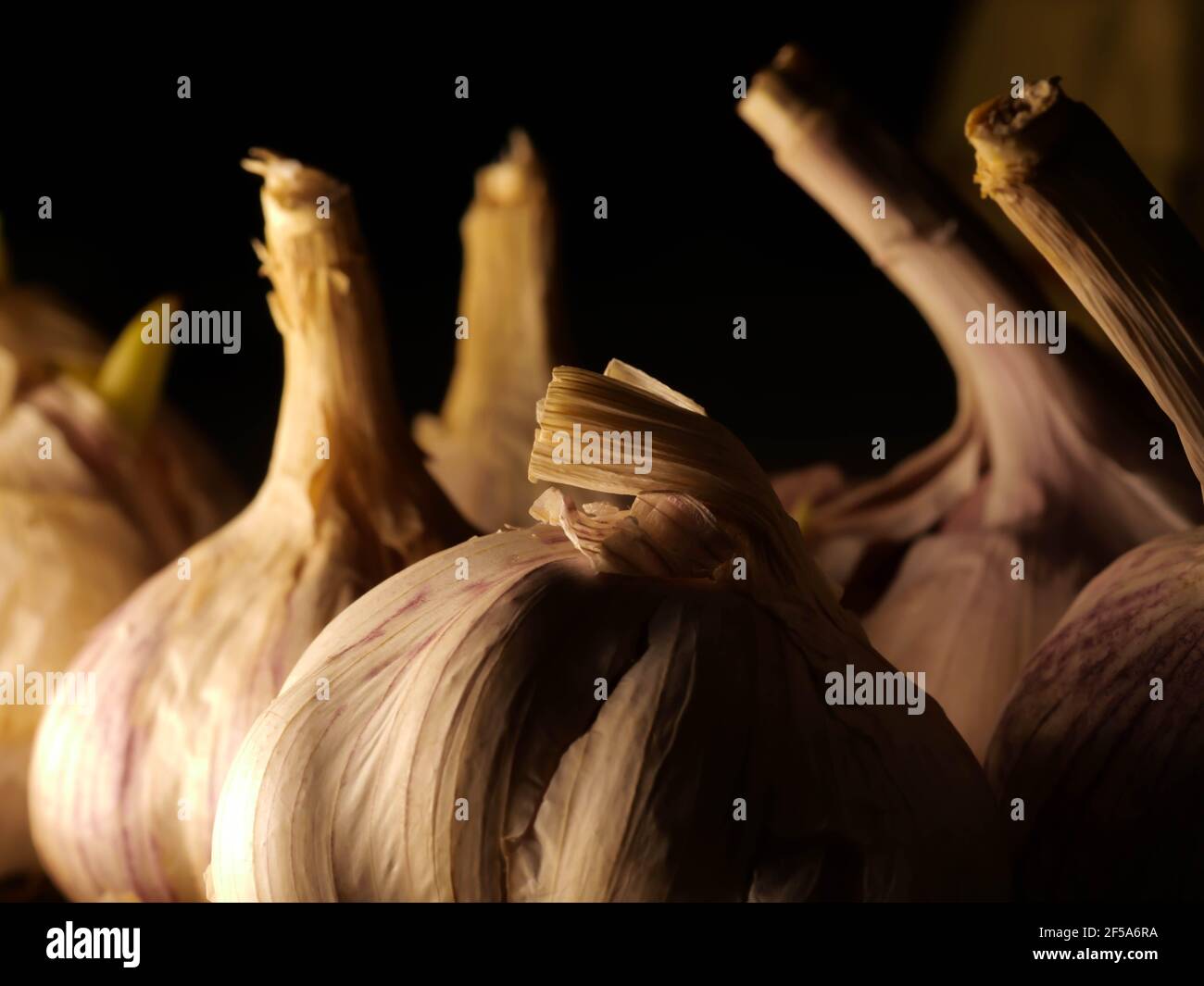 garlic. cloves of garlic. peeled garlic cloves Stock Photo - Alamy