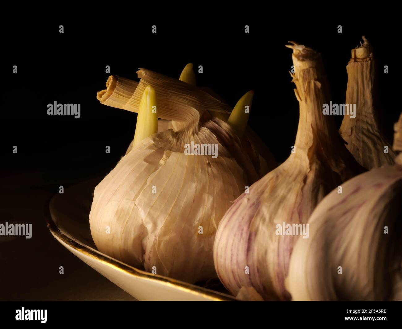garlic. cloves of garlic. peeled garlic cloves Stock Photo - Alamy