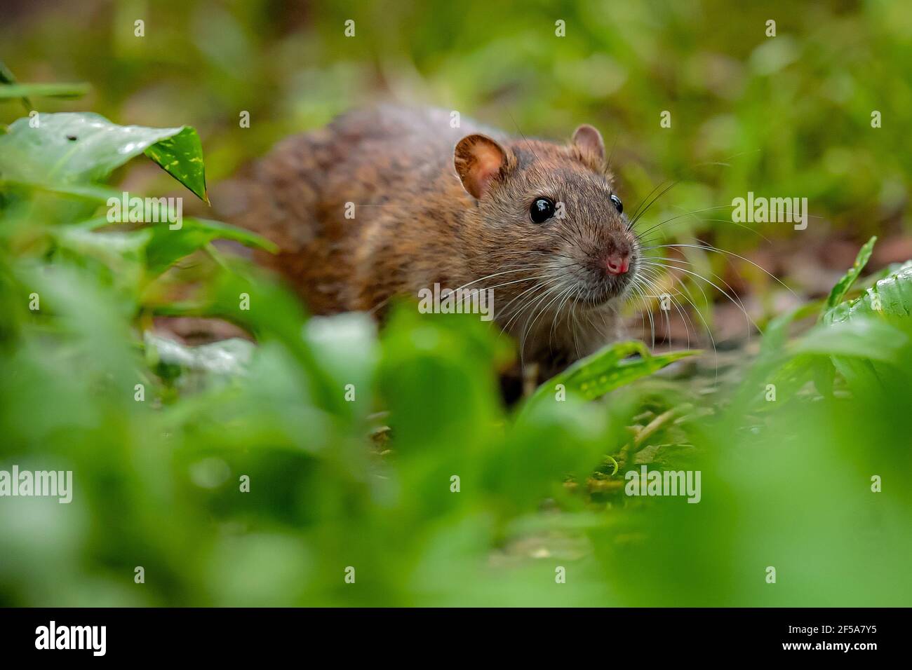 Thursday march 25 bath hi-res stock photography and images - Alamy