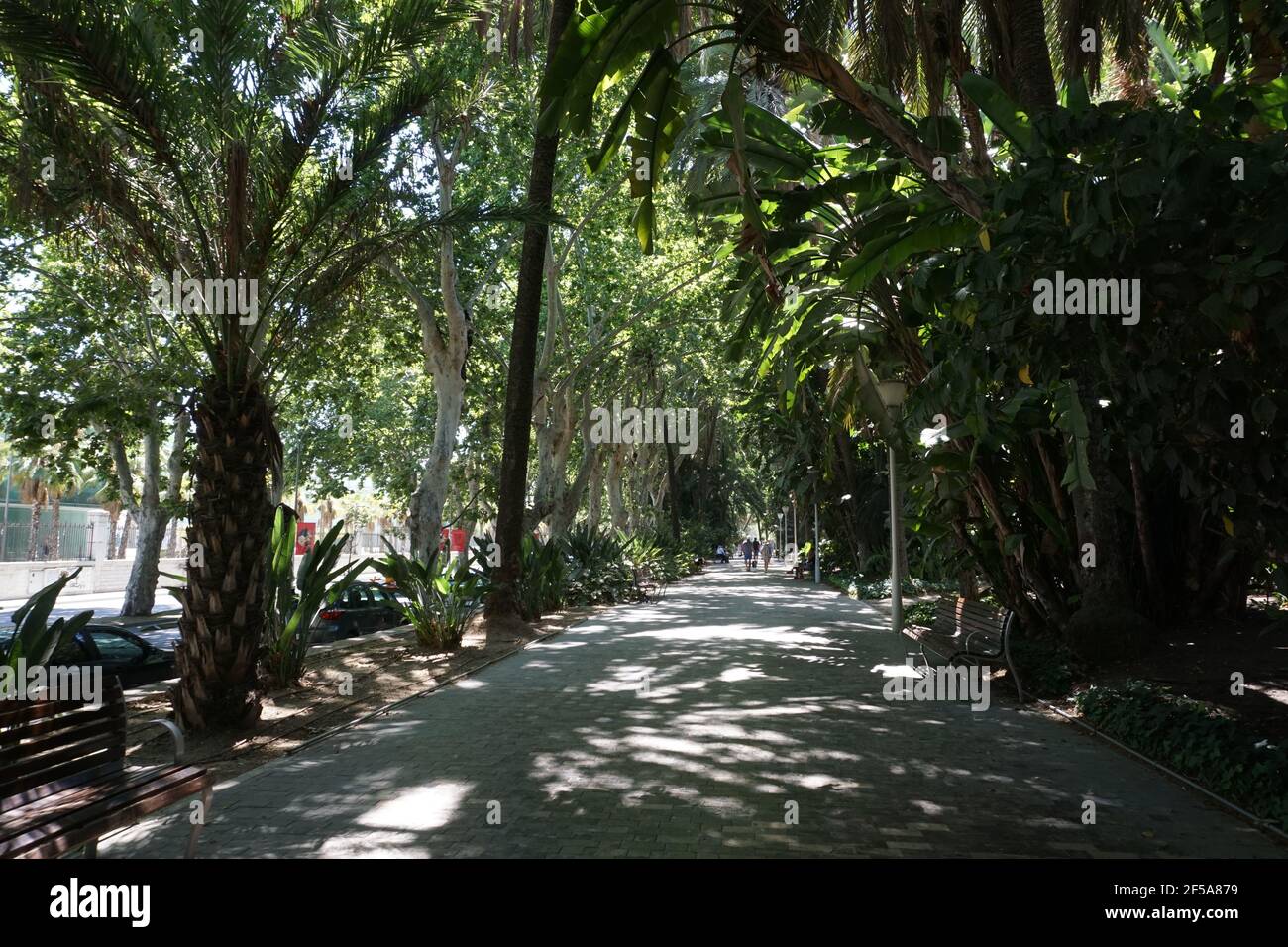 Canope hi-res stock photography and images - Alamy