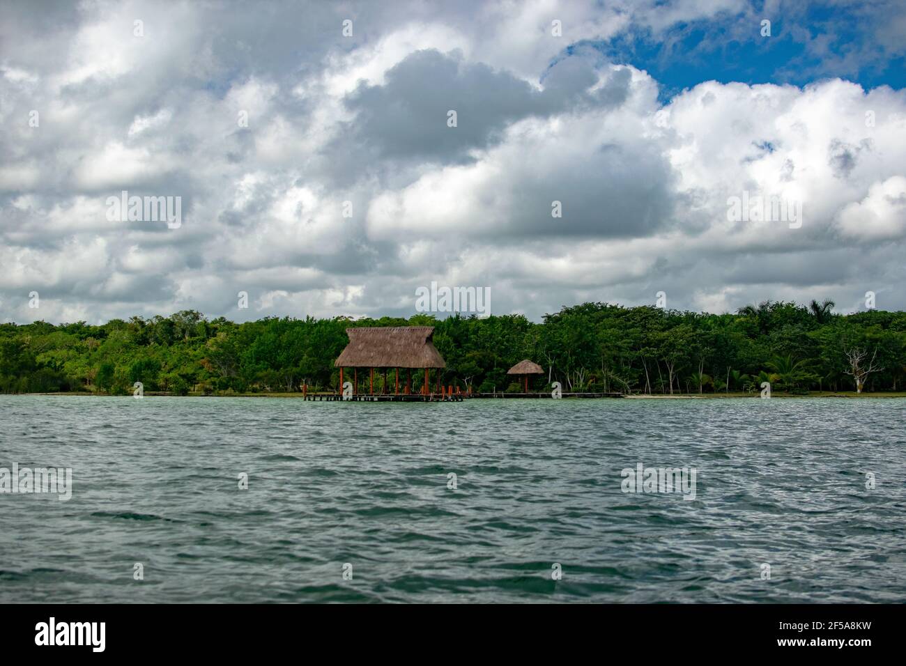 Beautiful view of the water surrounding the island with trees on a ...