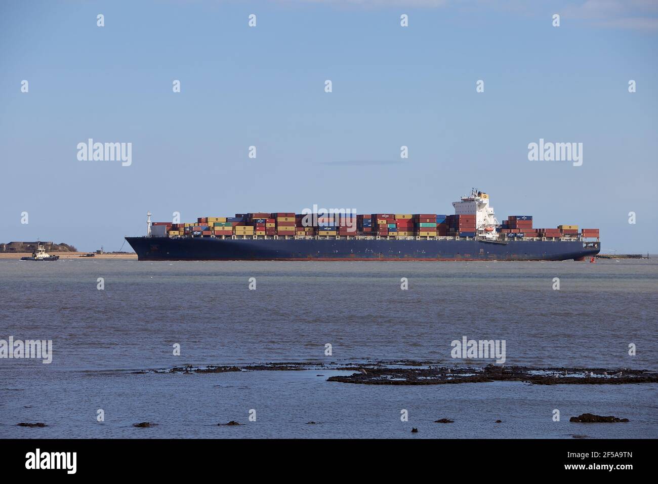 Container ship MSC Tokyo arriving at the Port of Felixstowe, Suffolk ...