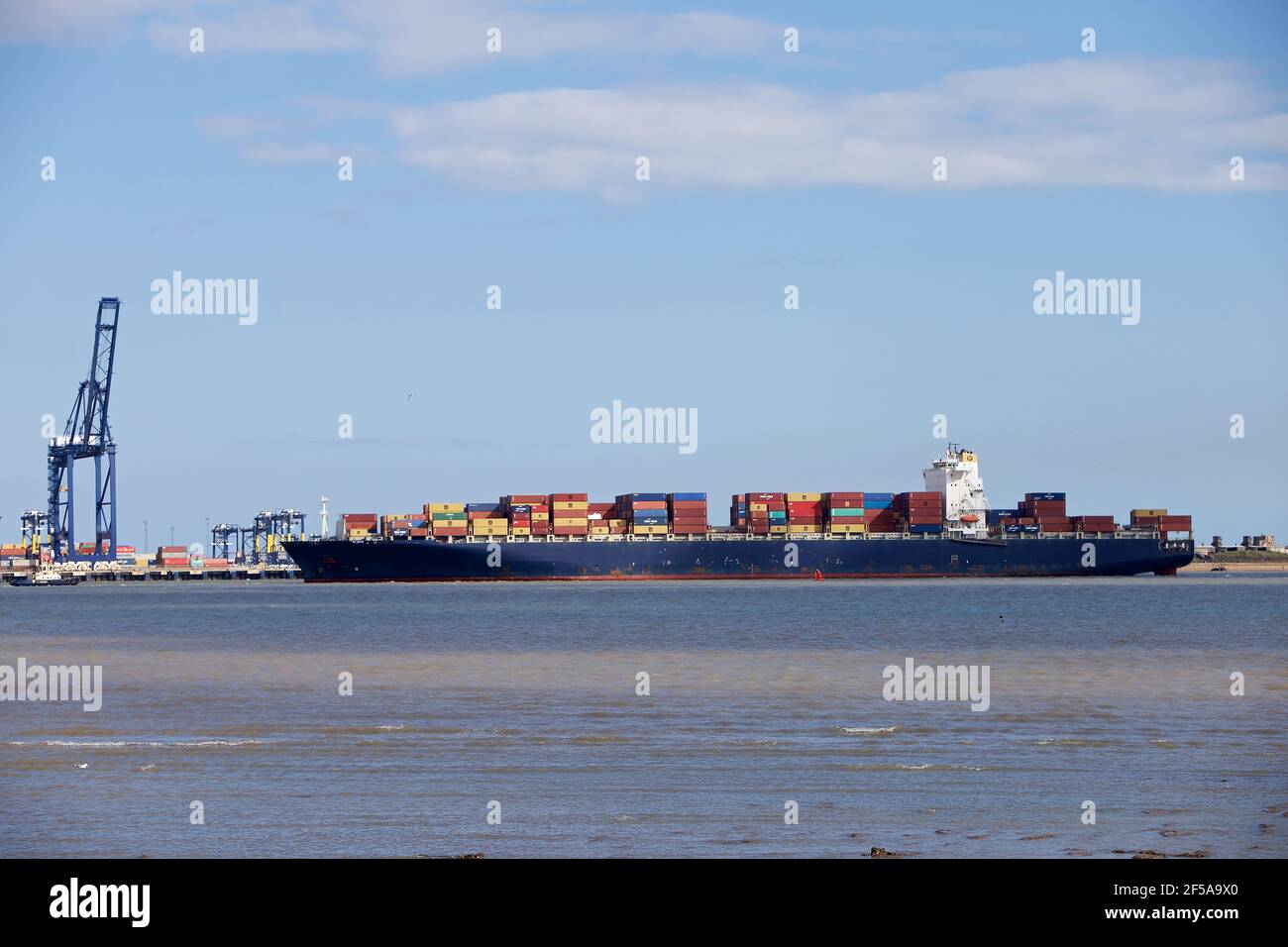 Container ship MSC Tokyo arriving at the Port of Felixstowe, Suffolk ...