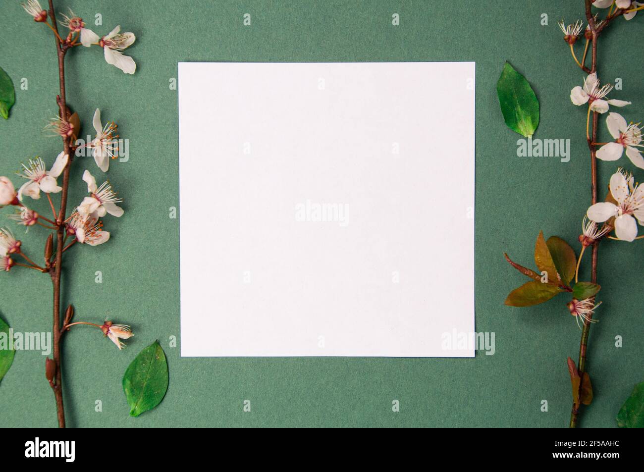 Note paper with blossom tree branch and green leaves on green ...