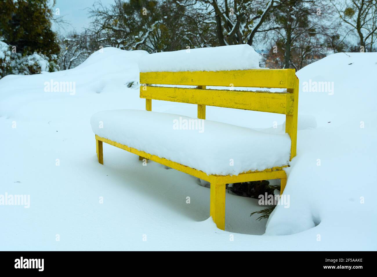 Yellow park bench hi-res stock photography and images - Alamy