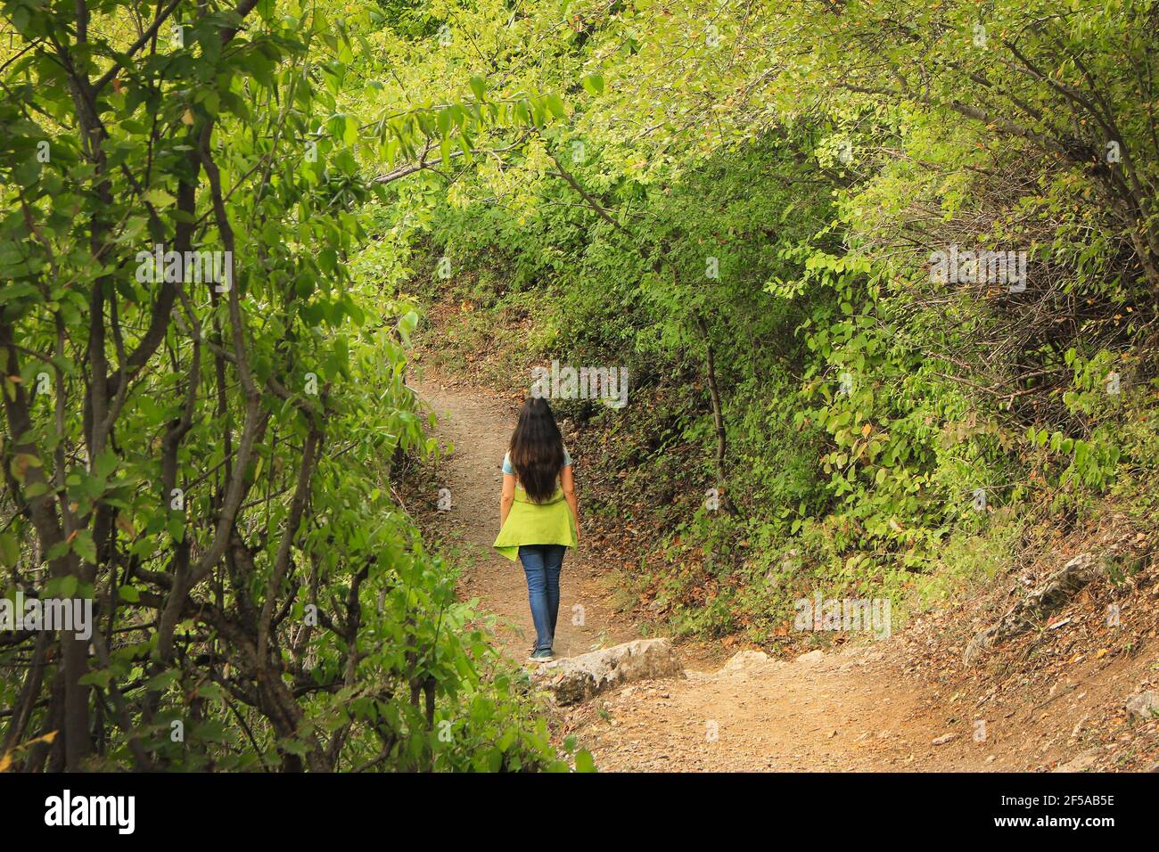 A girl walking along a path in a beautiful forest Stock Photo - Alamy