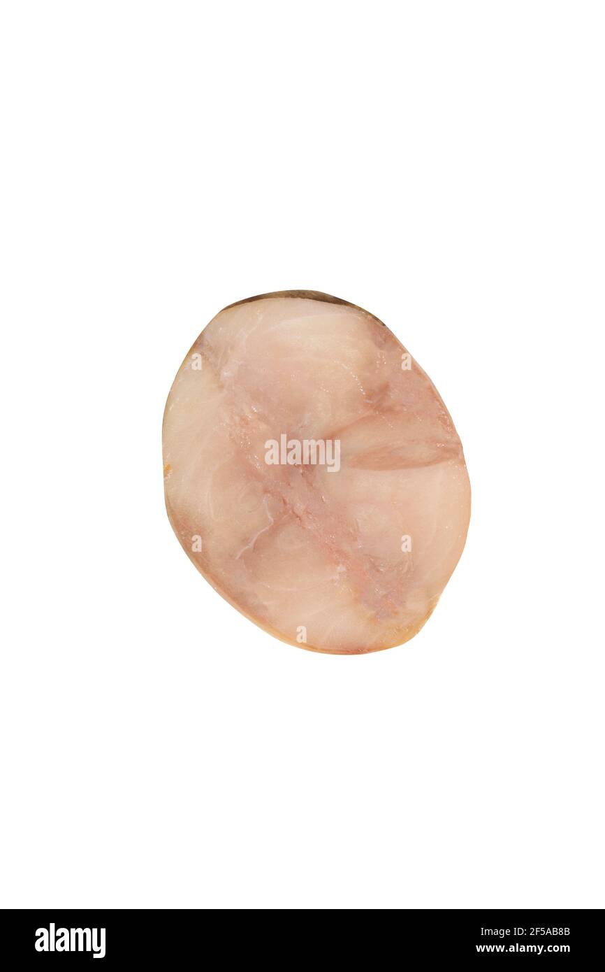 cut piece of fish isolated on white background. High quality photo ...