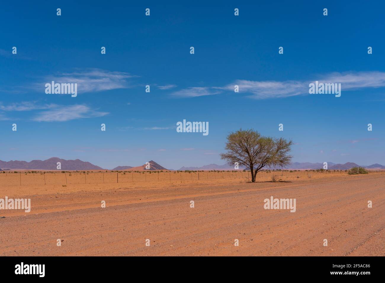 Desert landscape at the Namib-Naukluft National park, Namibia, southern ...