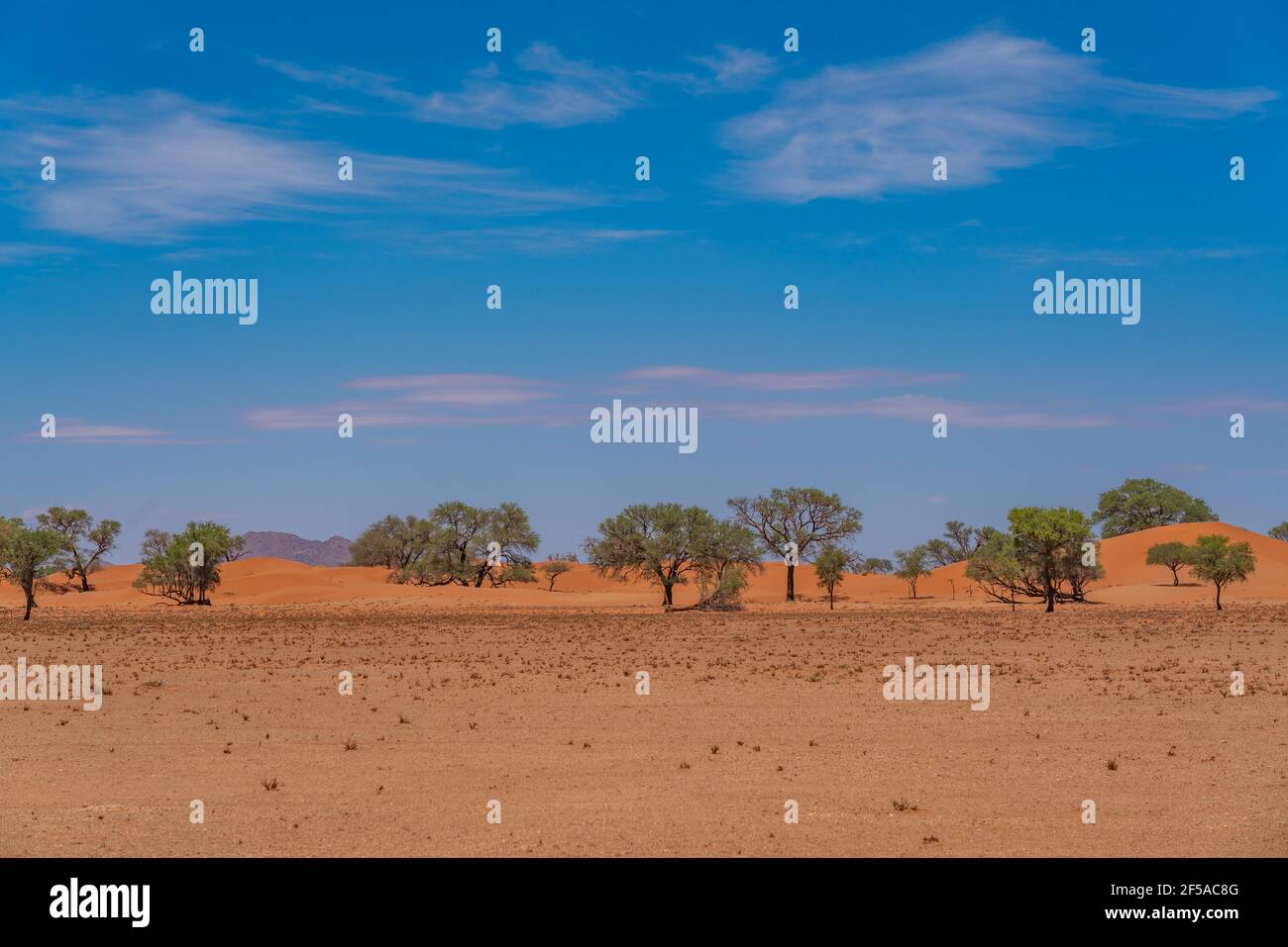 Desert landscape at the Namib-Naukluft National park, Namibia, southern ...