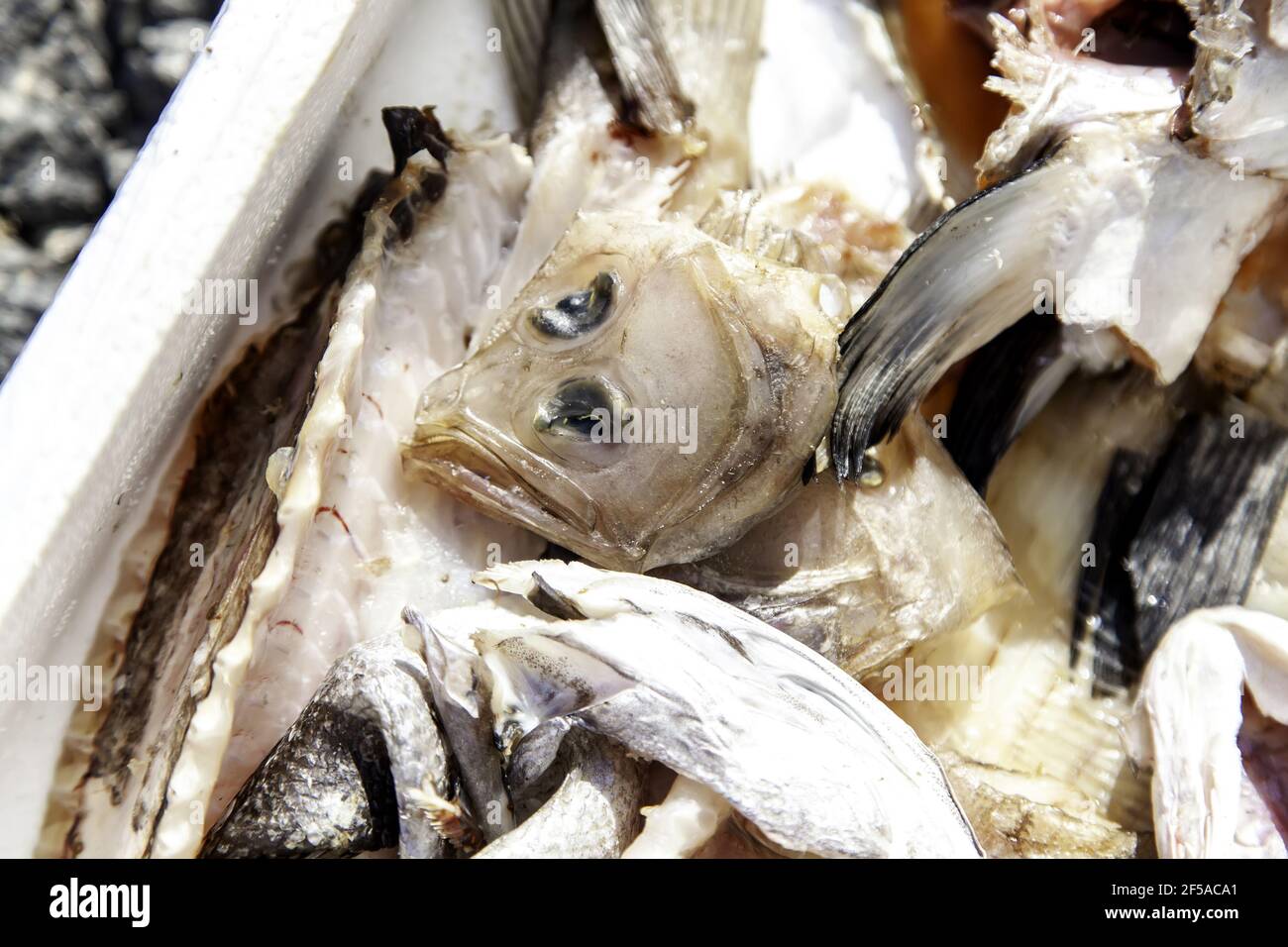 Animal waste hi-res stock photography and images - Alamy