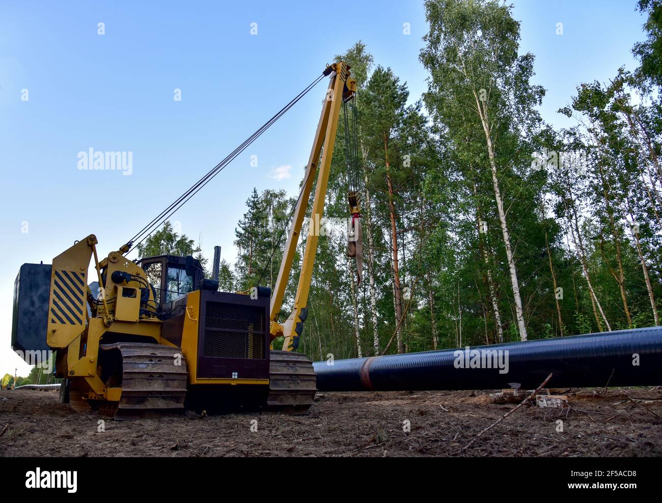 Natural gas pipeline construction work in forest area. Crawler crane ...