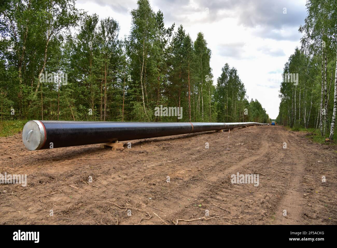 Natural gas pipeline construction work in forest area. Installation of ...