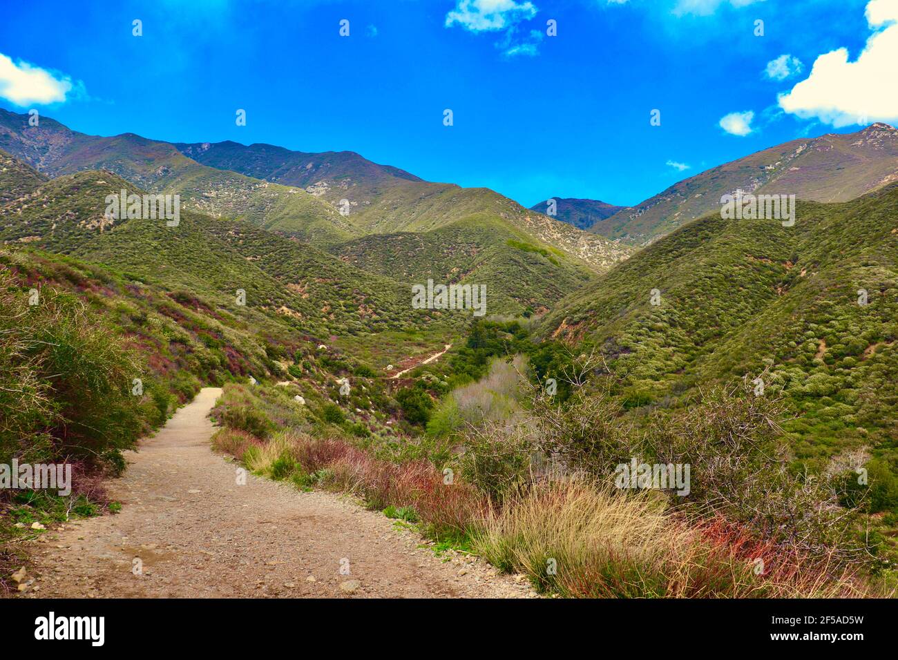 Beautiful Hiking Trail On a Sunny Day with Mountains and Clouds Stock ...