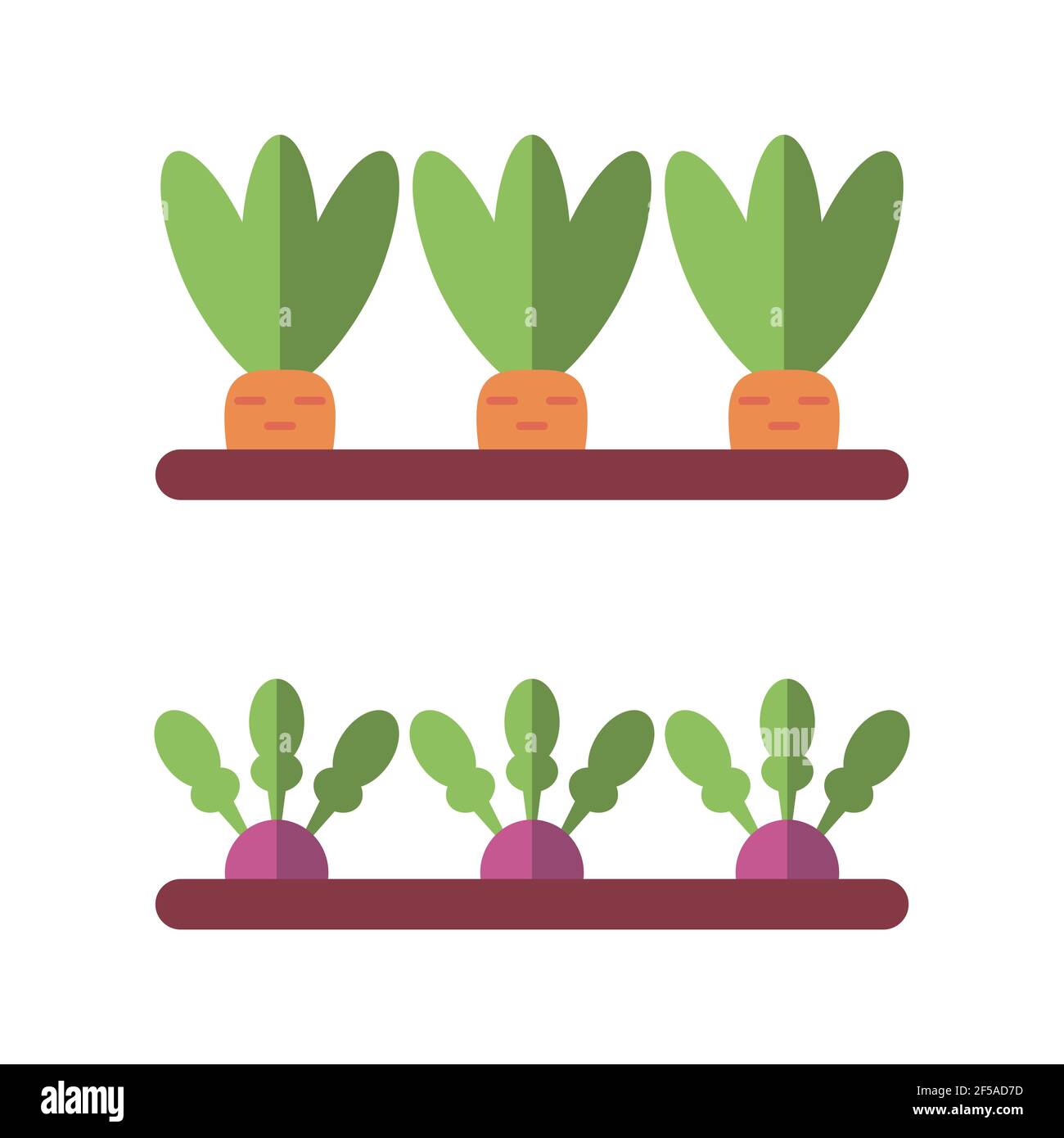 Vegetable garden. Carrots, radishes, beets. Vector illustration ...