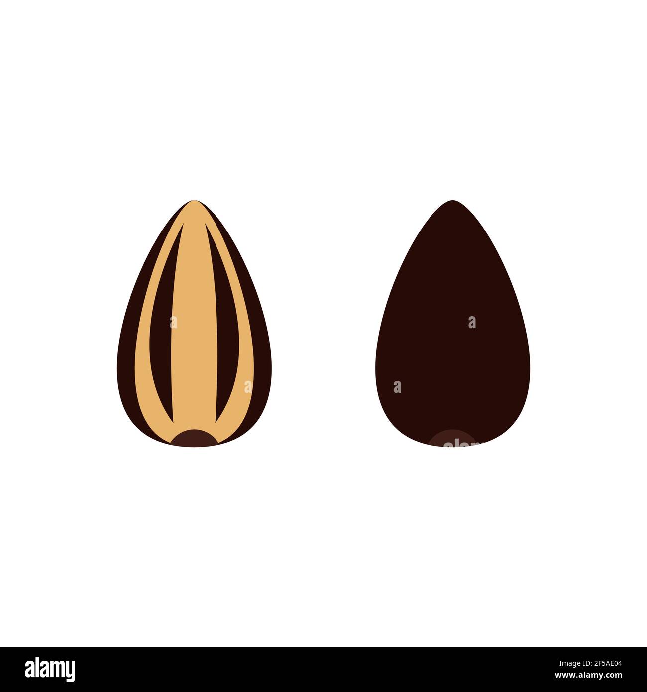 Seed husk Stock Vector Images - Alamy