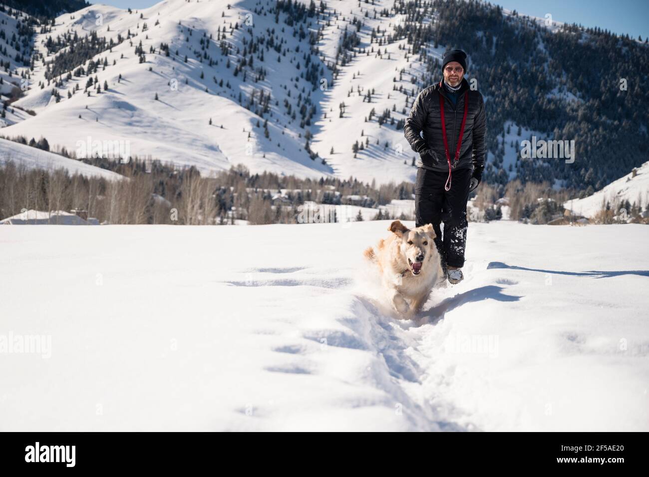 Man walking dog hi-res stock photography and images - Alamy
